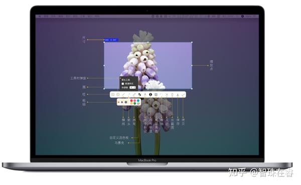 iShot—可能是Mac下最好用的截图神器，没有之一 - 知乎