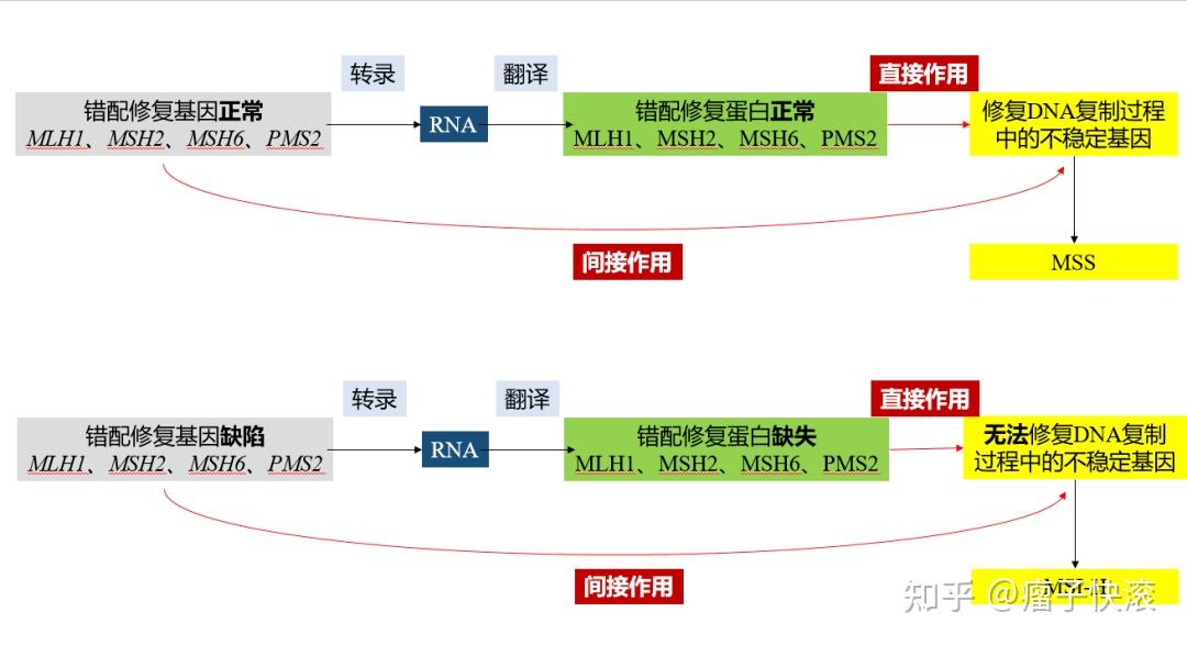 一文看懂MSI/MMR都是啥？有什么区别？ - 知乎