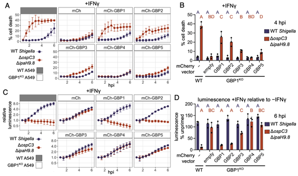 PNAS丨LPS 聚集蛋白 GBP1 和 GBP2 都足以增强体内和离体的 caspase-4 活化 - 知乎