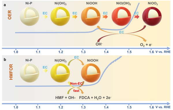 广州大学杜磊/厦门大学王宇成ACB: 动态变化的Ni(OH)2-NiOOH/NiFeP异质结构用于高性能5-羟甲基糠醛电催化氧化 - 知乎