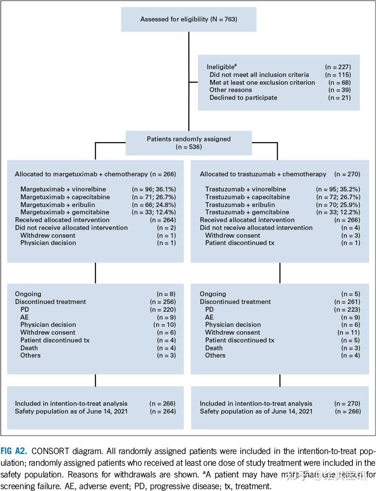 HER2阳性乳腺癌新药马吉妥昔单抗上市！后线治疗再添新选 - 知乎