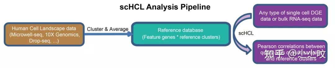 Nature | 人类细胞蓝图（HCL）数据库 - 知乎