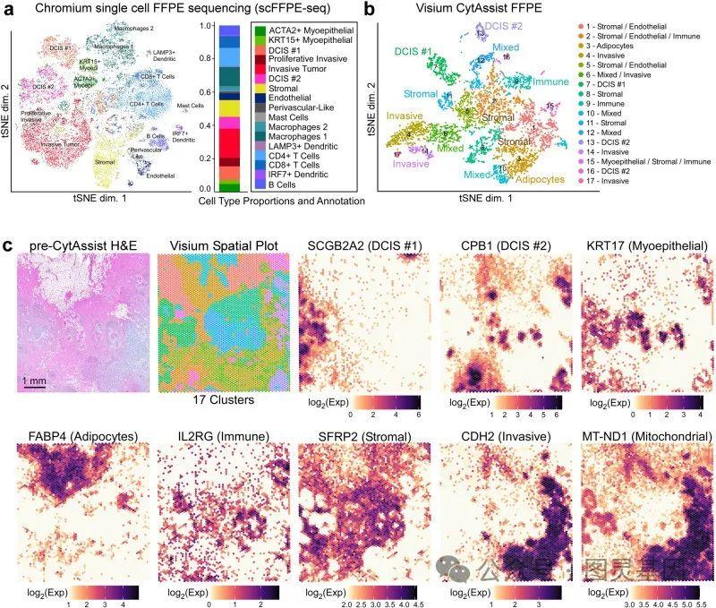 Nat Comm | 10x Genomics团队用单细胞、空间和原位分析技术联合绘制高分辨率肿瘤微环境图谱 - 知乎