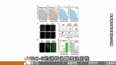 MRC-5细胞培养，人胚肺成纤维细胞培养攻略-丰晖生物 - 知乎