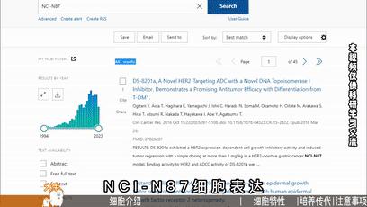 NCI-N87细胞培养，人胃癌细胞培养攻略 - 丰晖生物 - 知乎