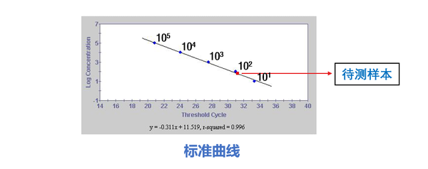 荧光定量PCR—定量篇 - 知乎