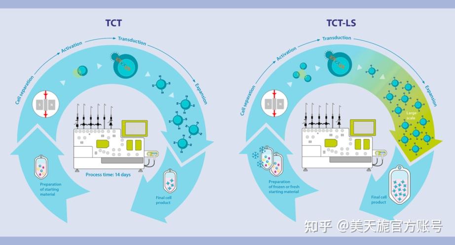 细胞培养高扩增率、高存活率的秘诀——美天旎CliniMACS Prodigy TCT-Large Scale新应用程序 - 知乎
