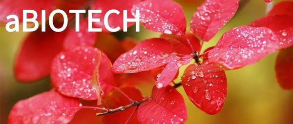 aBIOTECH | 中山大学徐锦课题组综述 scATAC-seq 数据分析方法 - 知乎