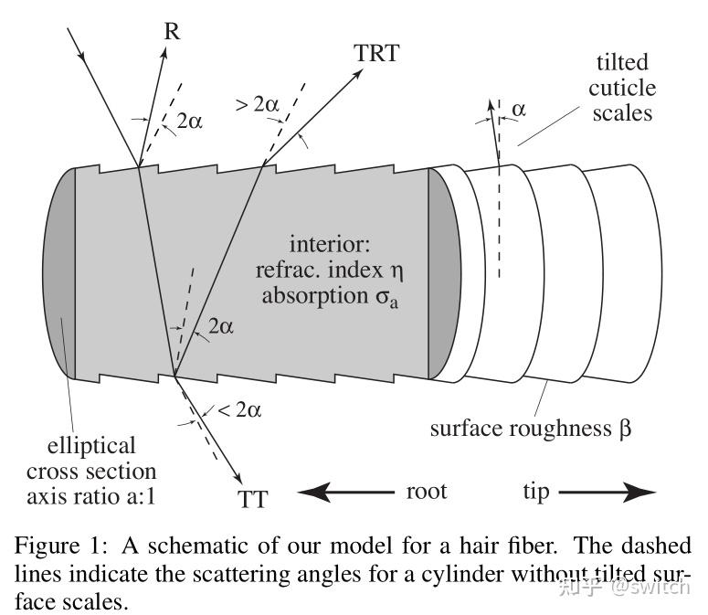 Marschner Hair Model论文细读与推导 - 知乎