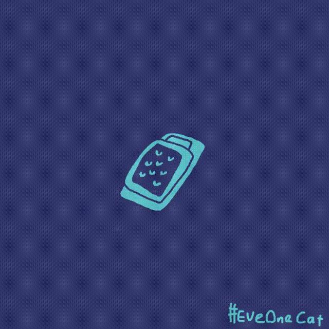 魔性猫猫everyday one cat 表情包 - 知乎