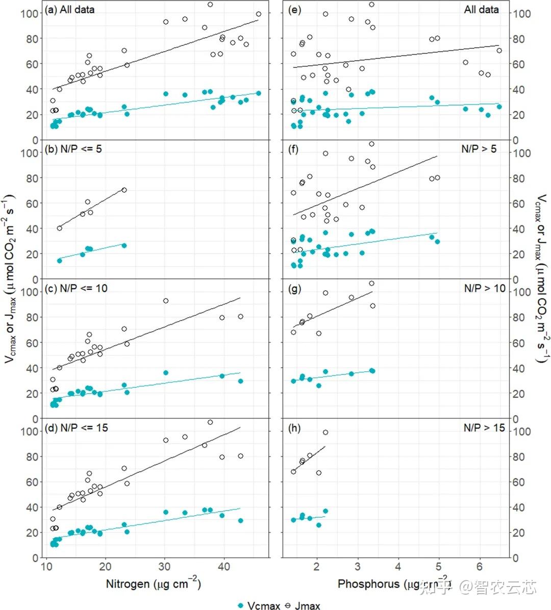 ISPRS J PHOTOGRAMM | 利用与光合效率相关的高光谱植物性状评估氮磷分配 - 知乎