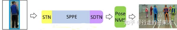AlphaPose人体关键点检测 - 知乎