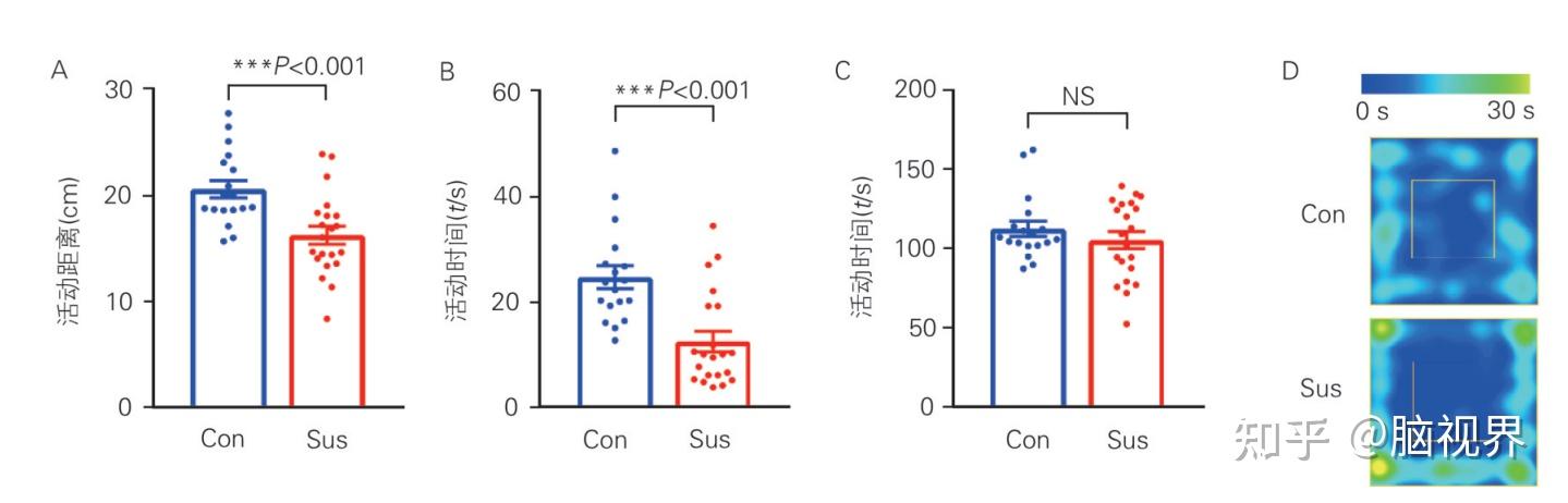小鼠慢性社交挫败应激模型（CSDS）的建立及评价研究 - 知乎