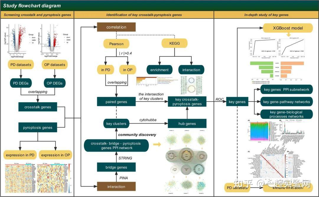 PPI+hub思路太常规了？看看这篇8+SCI是如何玩出花的！ - 知乎