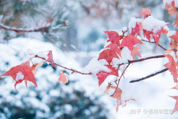 古代年、月、日、时间的表示方法 知乎
