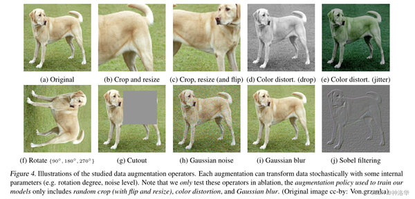 李沐论文精读系列三：MoCo、对比学习综述（MoCov1/v2/v3、SimCLR v1/v2、DINO等） - 知乎