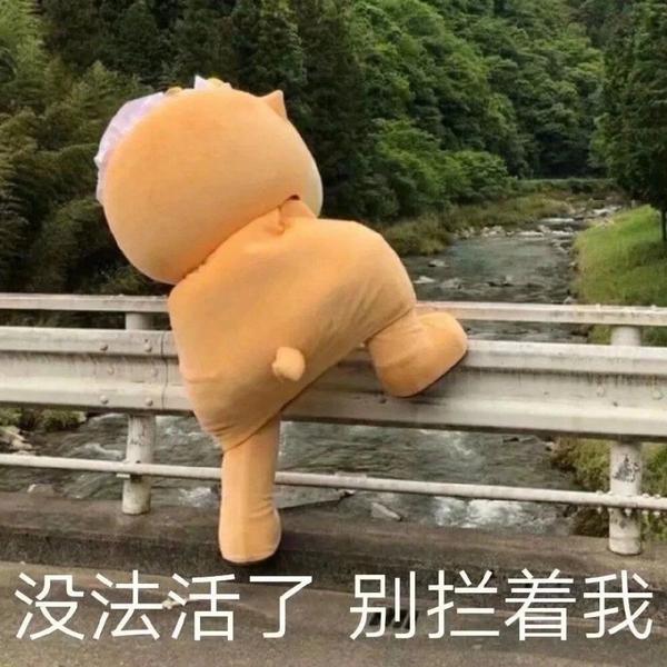 太搞笑了这些关于学习的表情包 知乎