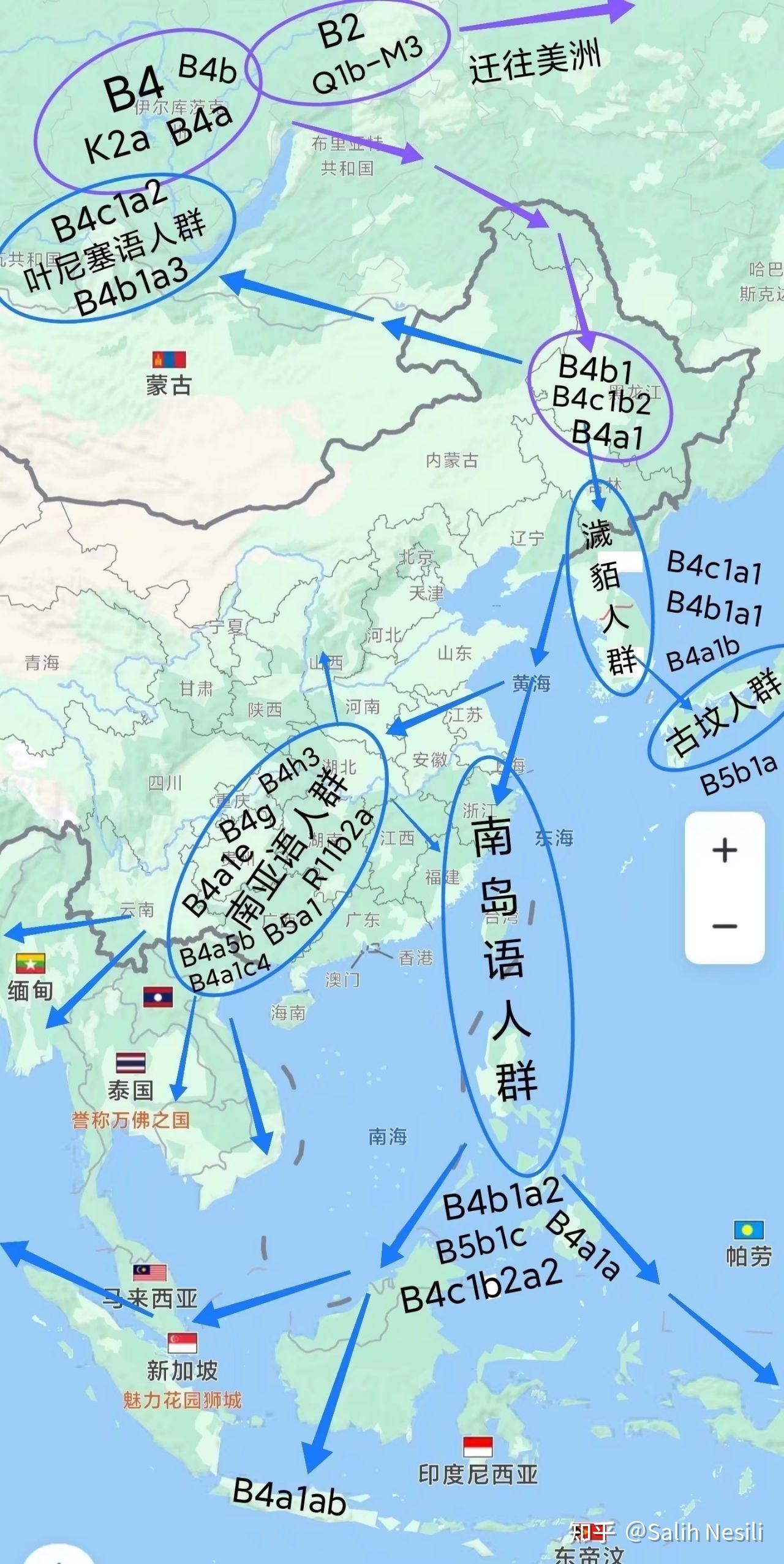 马保晟 B4母系和东亚人群的起源 知乎