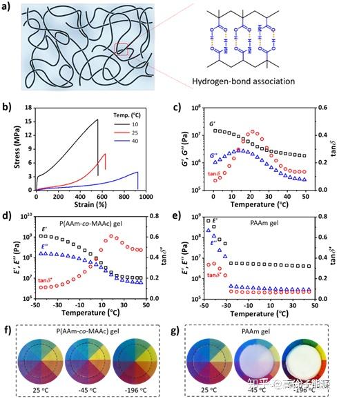 浙大吴子良郑强AM:超低温下具有超高刚度和韧性的玻璃状水凝胶 - 知乎