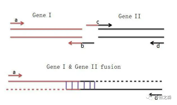 基础实验重新认识（5）——PCR相关 - 知乎