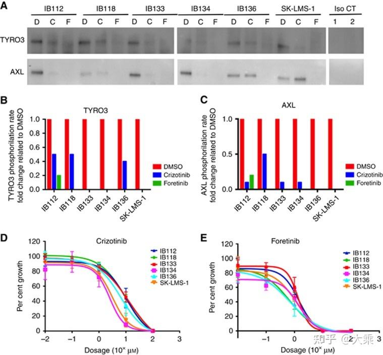 TYRO3-平滑肌肉瘤的一个潜在的作用靶点 - 知乎