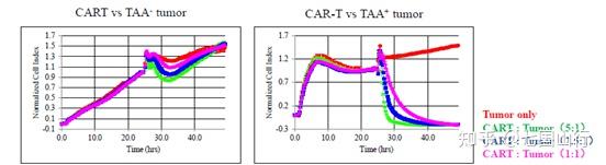 CAR-T细胞治疗产品申报的质量控制要点 - 知乎
