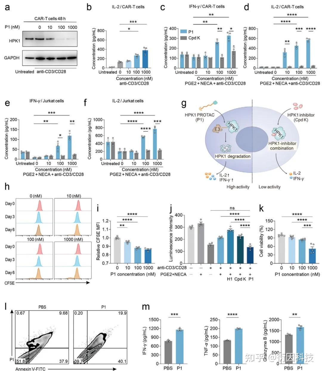 浙江大学研究团队设计口服PROTAC分子降解HPK1，显著提升CAR-T细胞疗法和抗PD-L1抗体对实体瘤的治疗效果！ - 知乎