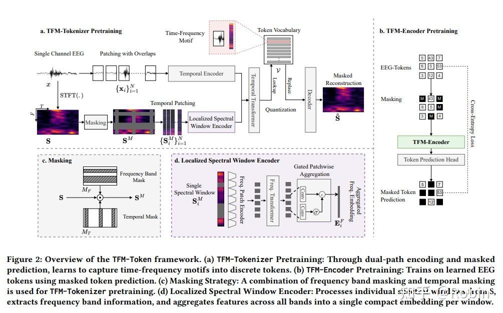 回顾 EEG Transformer 的一些问题 - 知乎