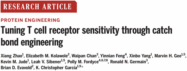 Science︱赵祥等揭示逆锁键工程可以调节T细胞受体的信号强度且不引入脱靶毒性，有望应用于TCR-T肿瘤免疫细胞治疗 - 知乎