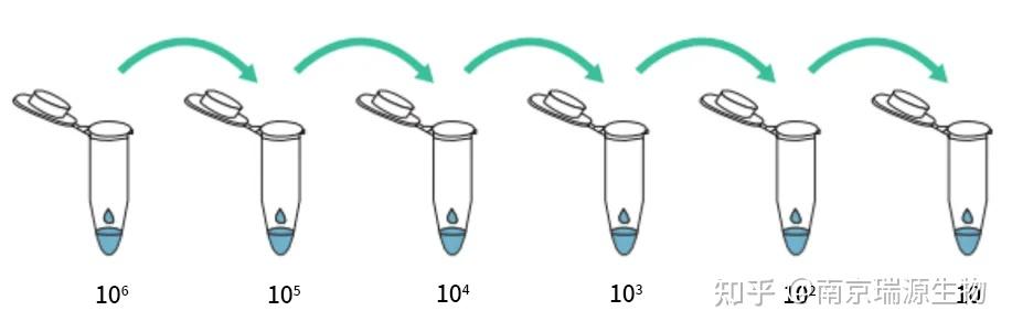 荧光定量PCR之相对定量与绝对定量 - 知乎