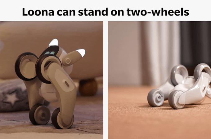 认识 Loona：宠物、玩具、陪伴机器人，aibo 都不如她好玩！ - 知乎