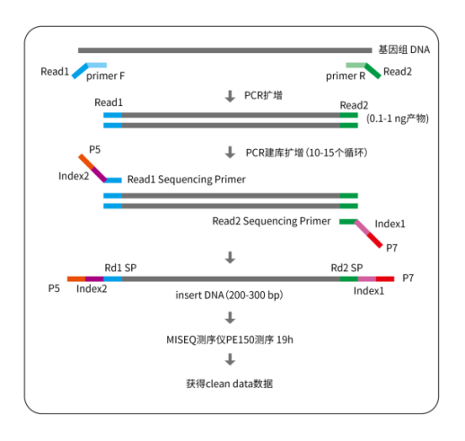 快速高通量测序的黑马——Fast NGS - 知乎