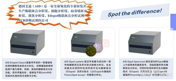 ELISpot（酶联免疫斑点技术）的整体解决方案 - 知乎