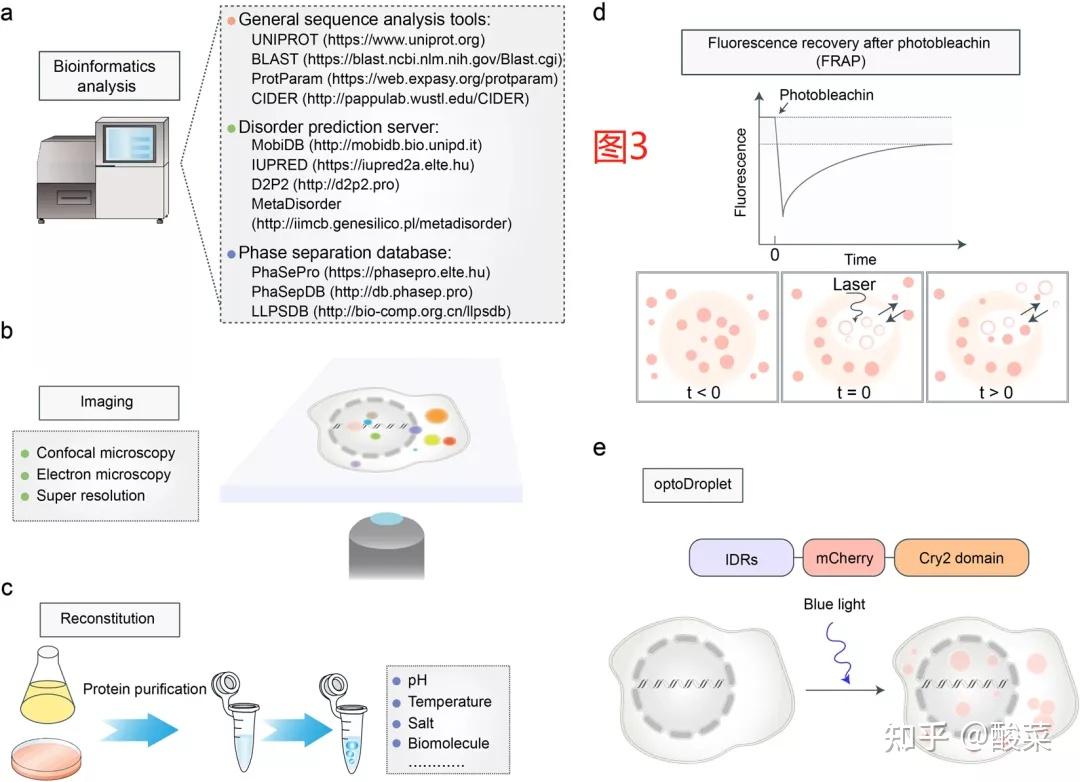 你们想要的这篇高分重磅综述真来了！兼顾所有科研汪！ - 知乎