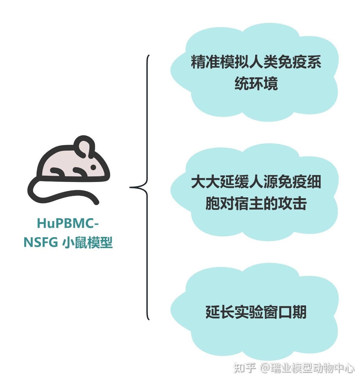 HuPBMC-NSFG人源化小鼠——疾病研究的新星模型 - 知乎