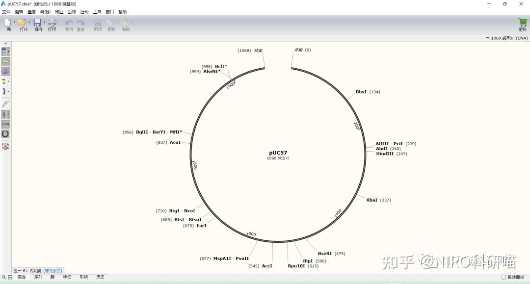 超详细的保姆级SnapGene软件应用汇总，建议收藏备用！！！ - 知乎