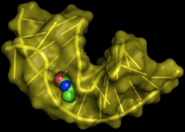 核酸适配体（Aptamer）VS 抗体（Antibody） - 知乎