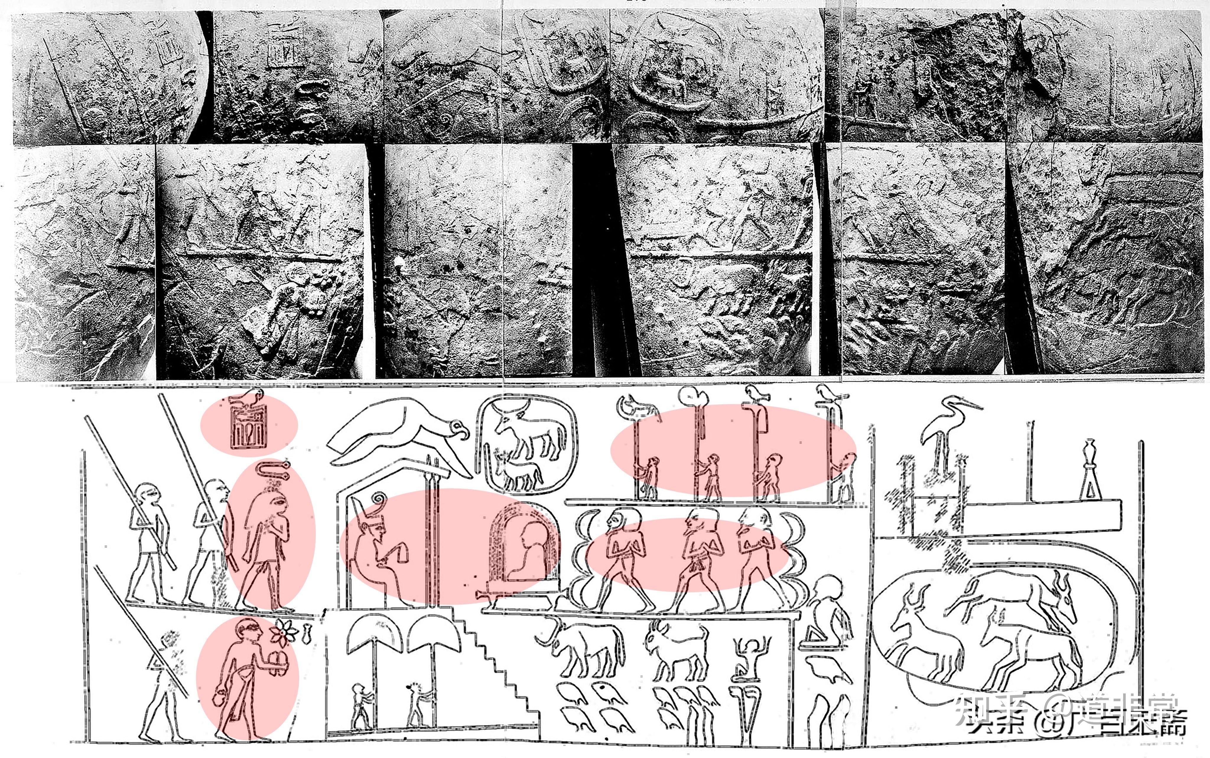 “古埃及”法老所戴大白帽子和卷须红帽子千古悬疑大揭秘 - 知乎