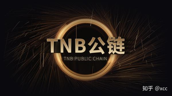 TNB公链：将持续推动个人时间实现自主数字化上链 - 知乎