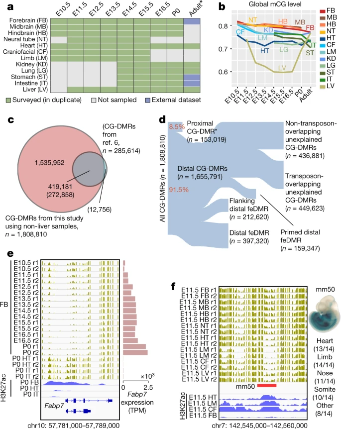 Nature |DNA元件百科全书（ENCODE）计划, 全面注释基因组元件 - 知乎