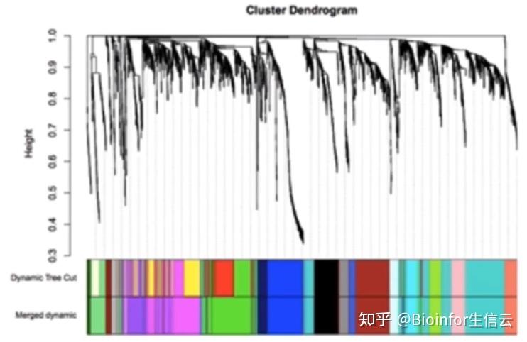 WGCNA的原理和分析步骤 - 知乎