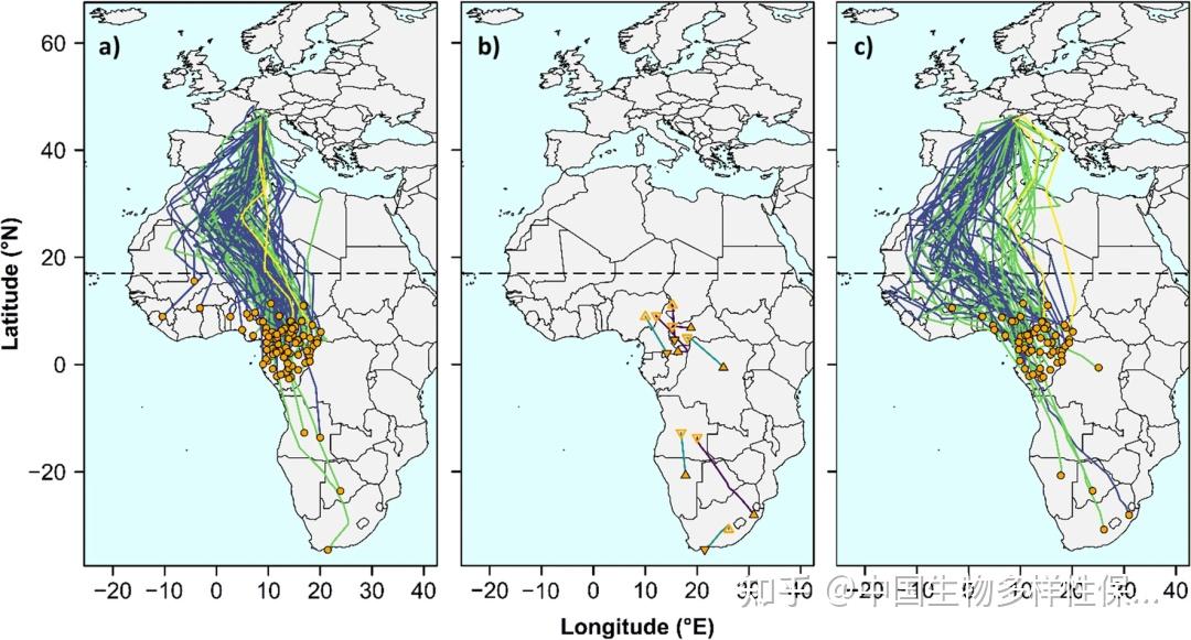 迁徙之谜：家燕如何跨越沙漠和大海？对85只家燕追踪研究 - 知乎