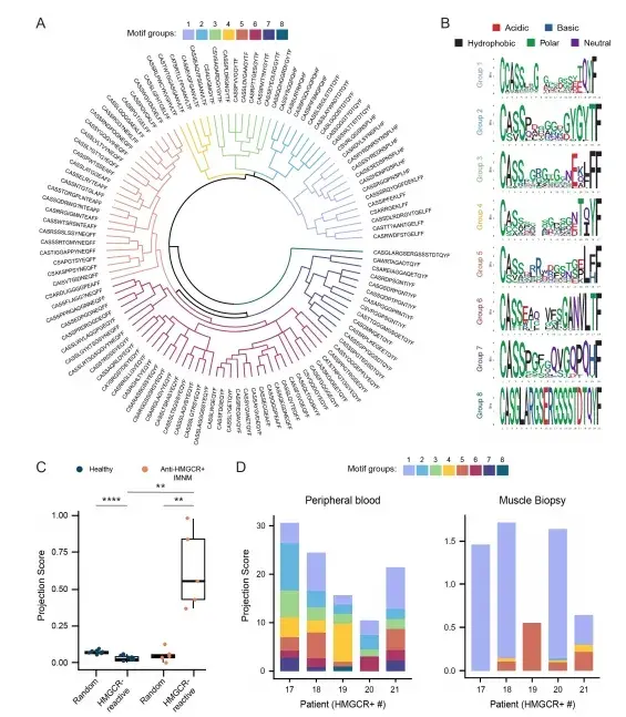 TCR/BCR-seq：免疫组库测序，解锁免疫密码，赋能精准医疗 - 知乎