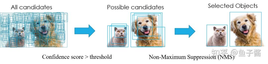 手把手带你调参Yolo v5（一） - 知乎