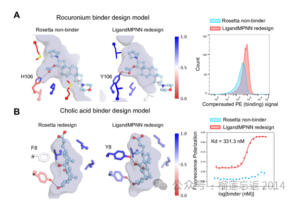 LigandMPNN 在蛋白质设计中的应用 - 知乎