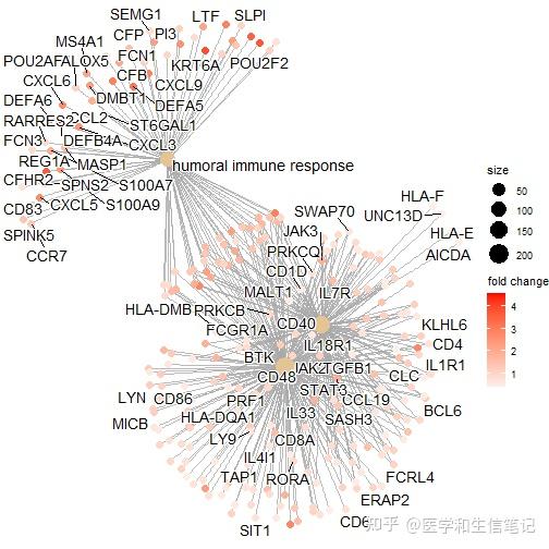 enrichplot富集分析可视化 - 知乎