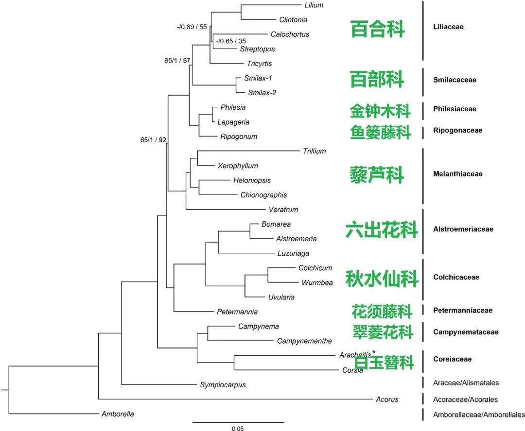 美丽却剧毒！秋天赏花，离它远一点! - 知乎