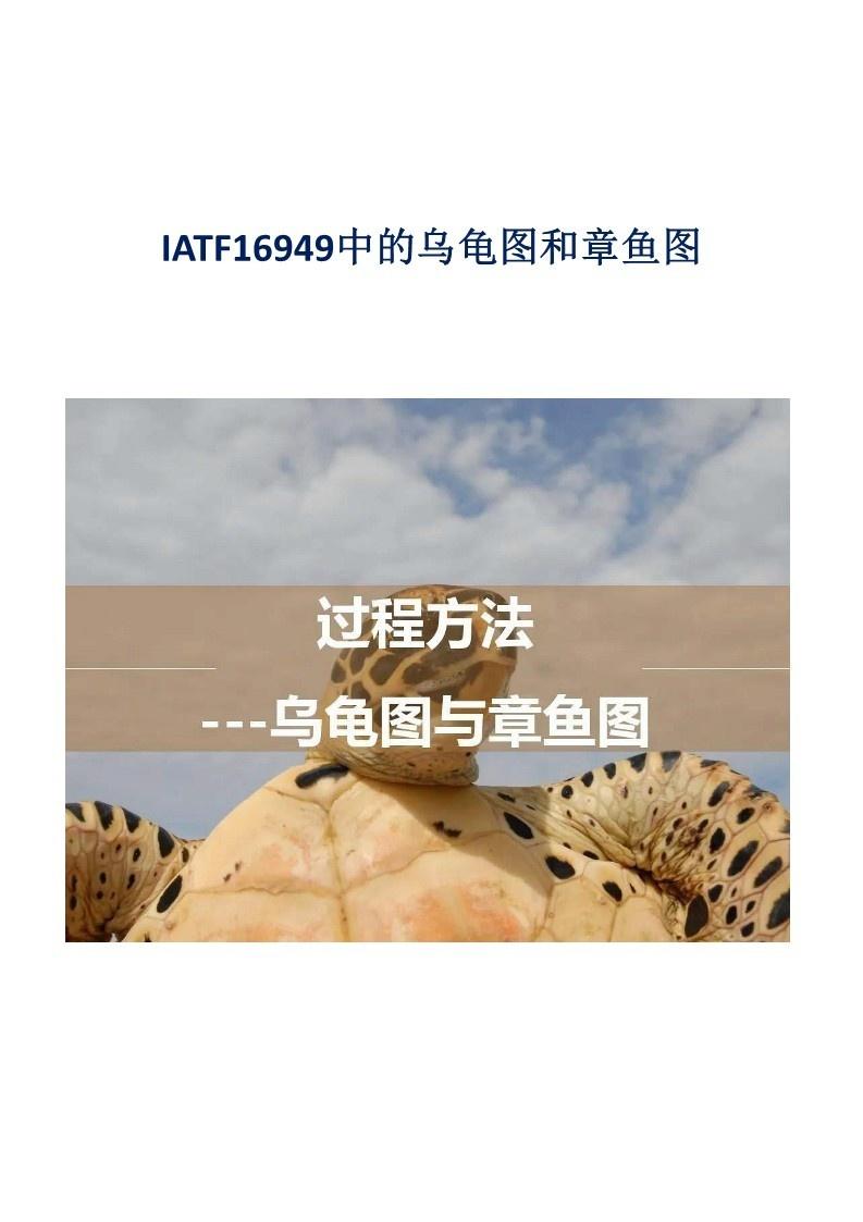 「体系管理」 IATF16949中的乌龟图和章鱼图 - 知乎