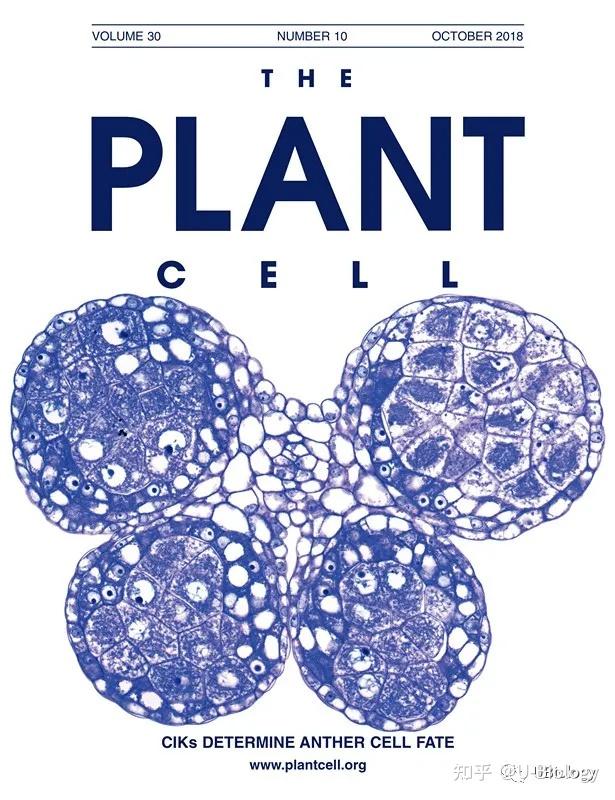 2021年发布植物学科主要期刊影响因子【2020年度】 - 知乎