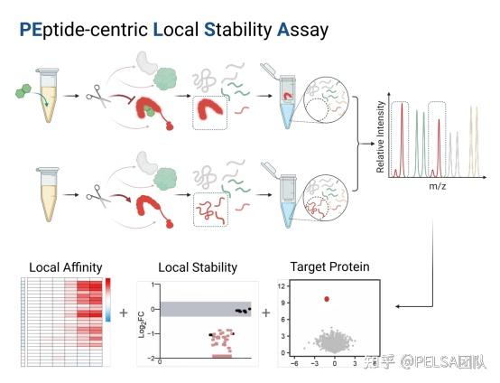 为什么PELSA的配体靶标蛋白质鉴定灵敏度比LiP-MS高一个数量级？ - 知乎